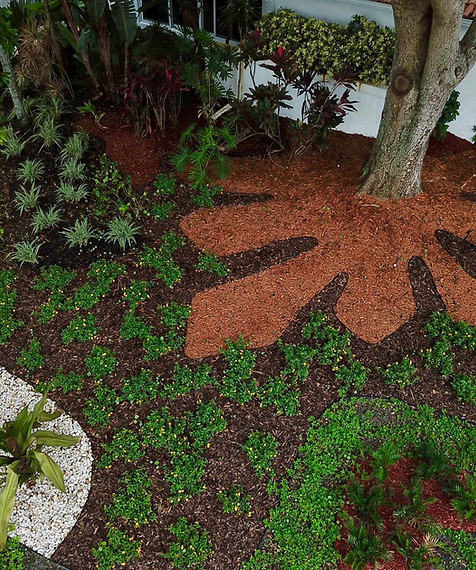 LANDSCAPE DESIGN | Jesus Pacheco Studio LANDSCAPE DESIGN | Jesus Pacheco Studio