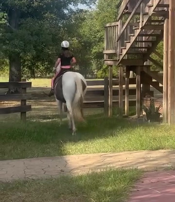 BOARDING | Agape Ranch LA