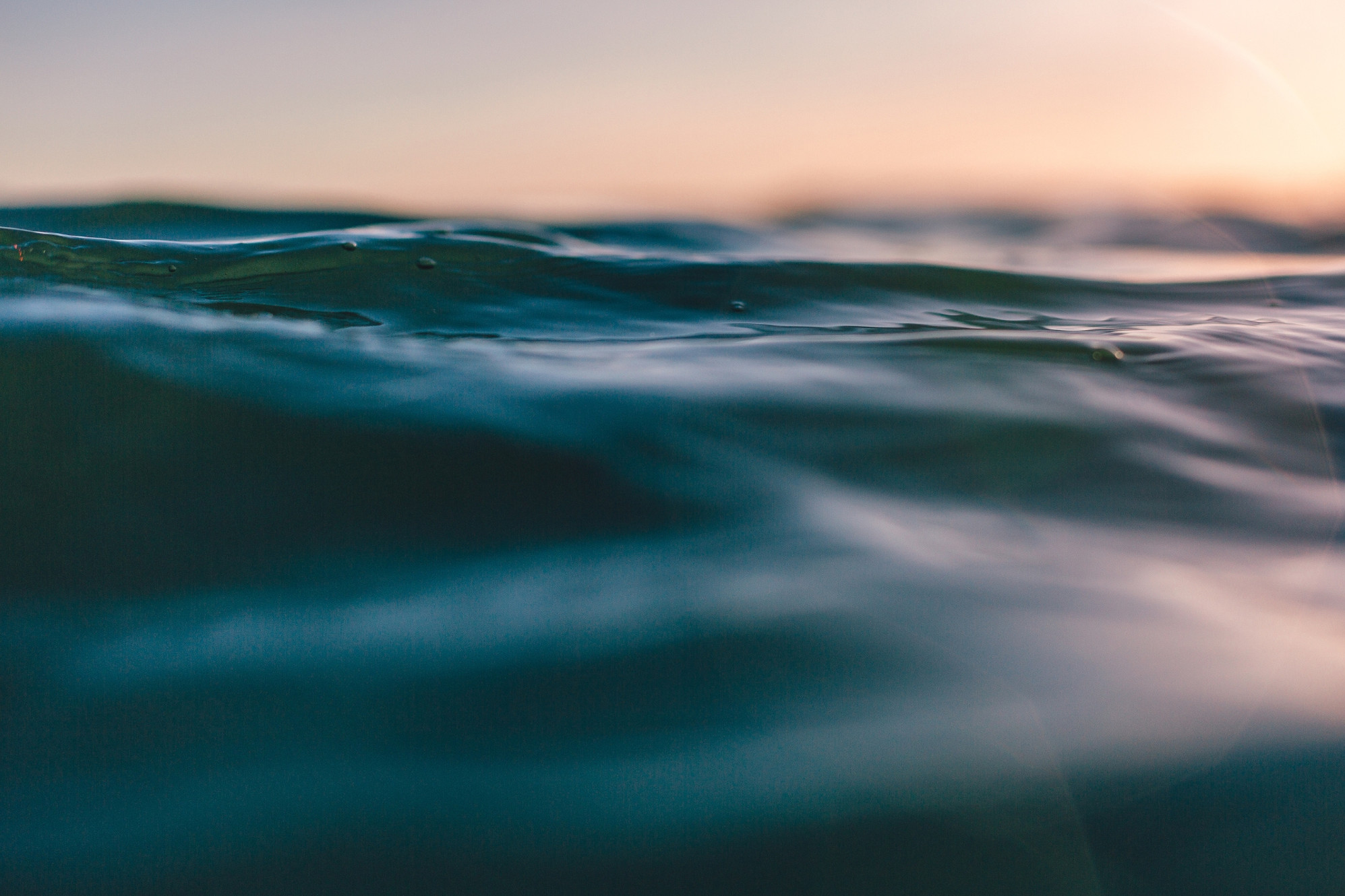 Member Care Services | Alberta Wray