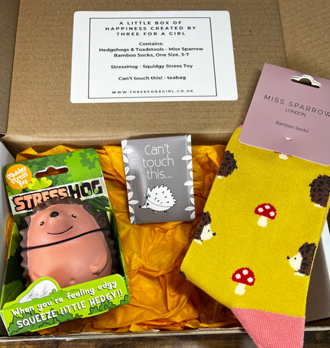 Prickly Hedgehog! - Gift Box | Three for a Girl