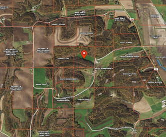 Whitetail Partners | Whitetail Habitat Design & Property Consultation