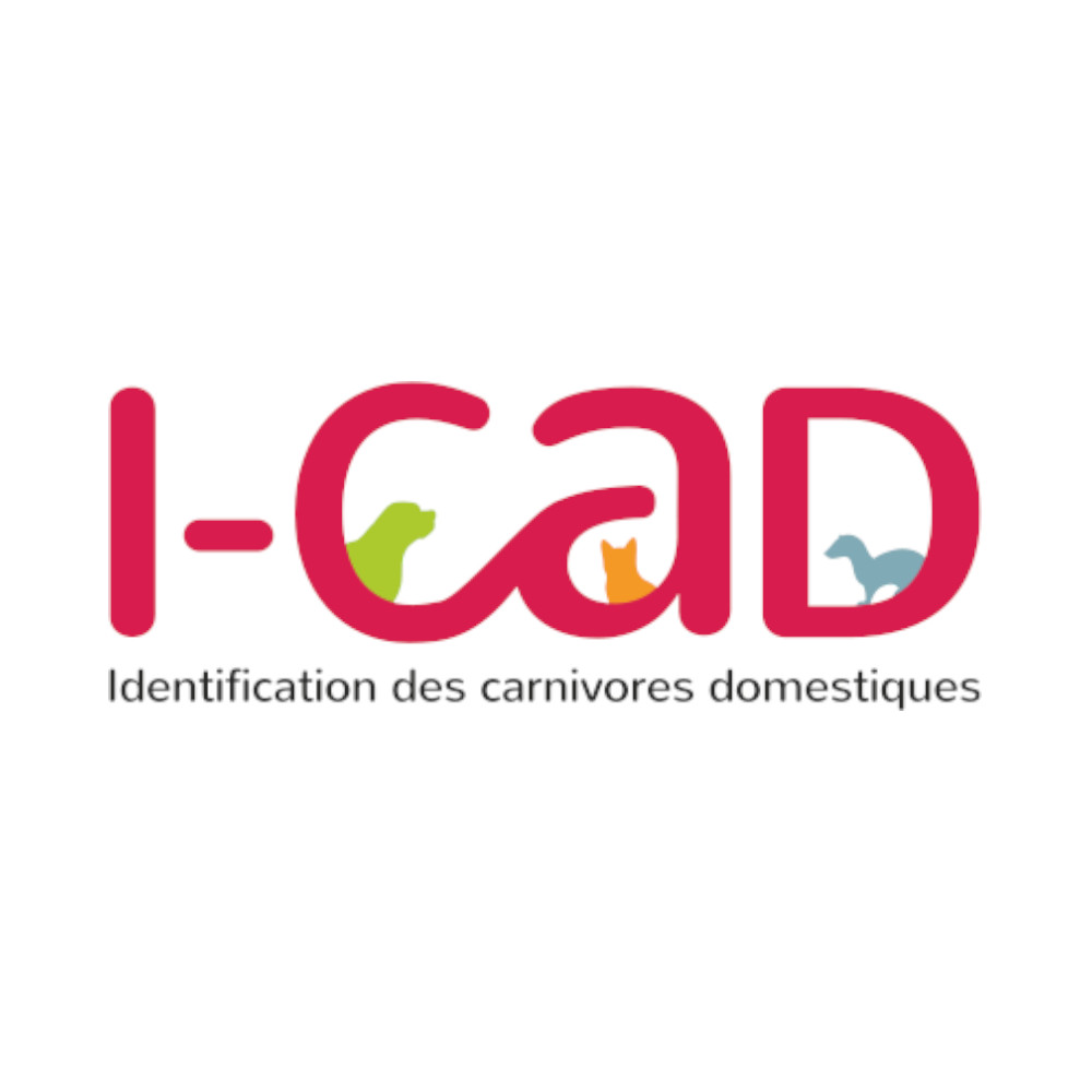 Logo I cad logo-i-cad