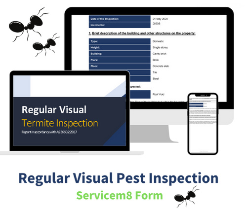 Regular Visual Termite Inspection AS3660.2 2017 | tradiesrescue