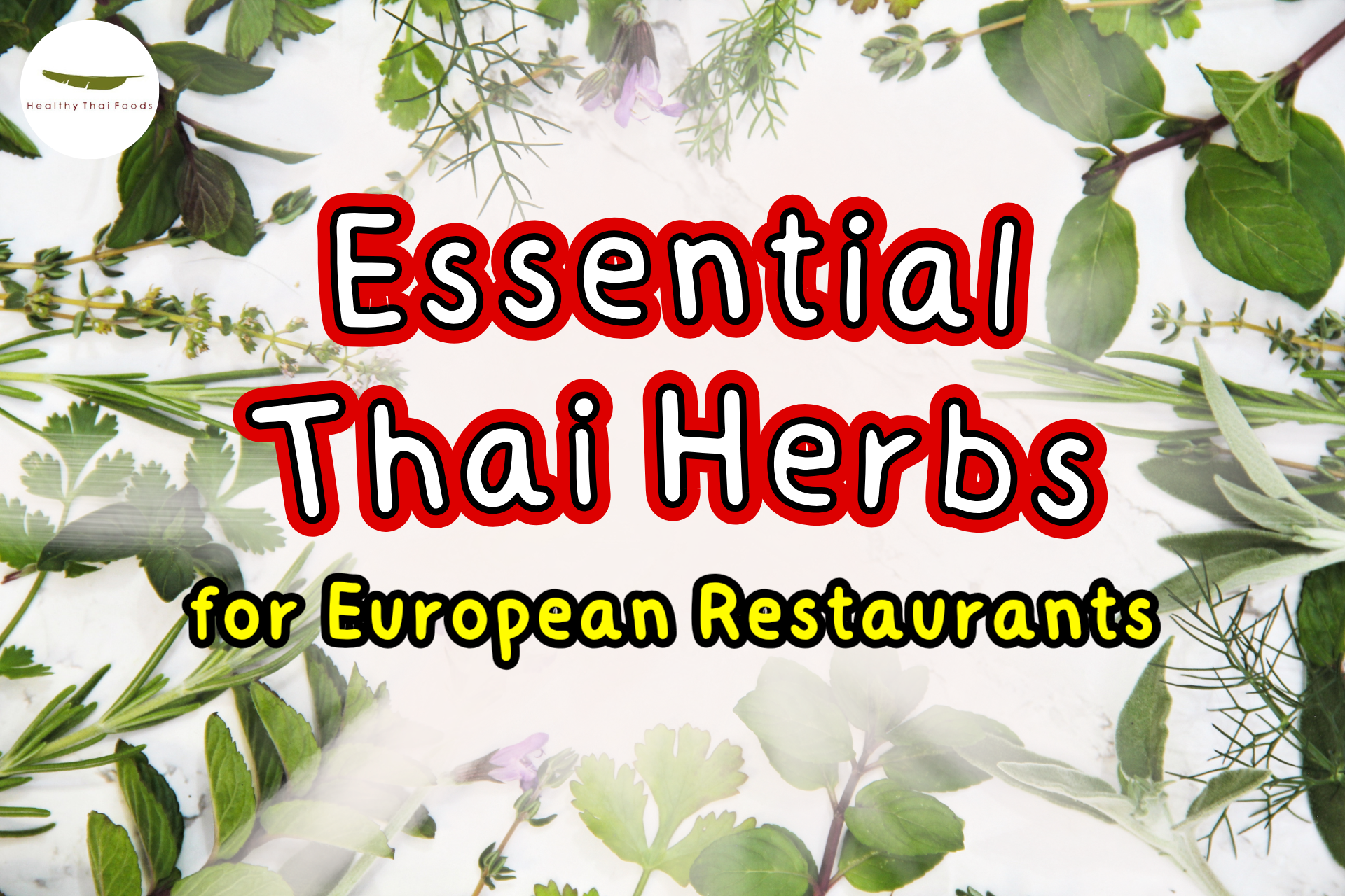 Essential Thai Herbs for European Restaurants | Thai Food Supplier UK
