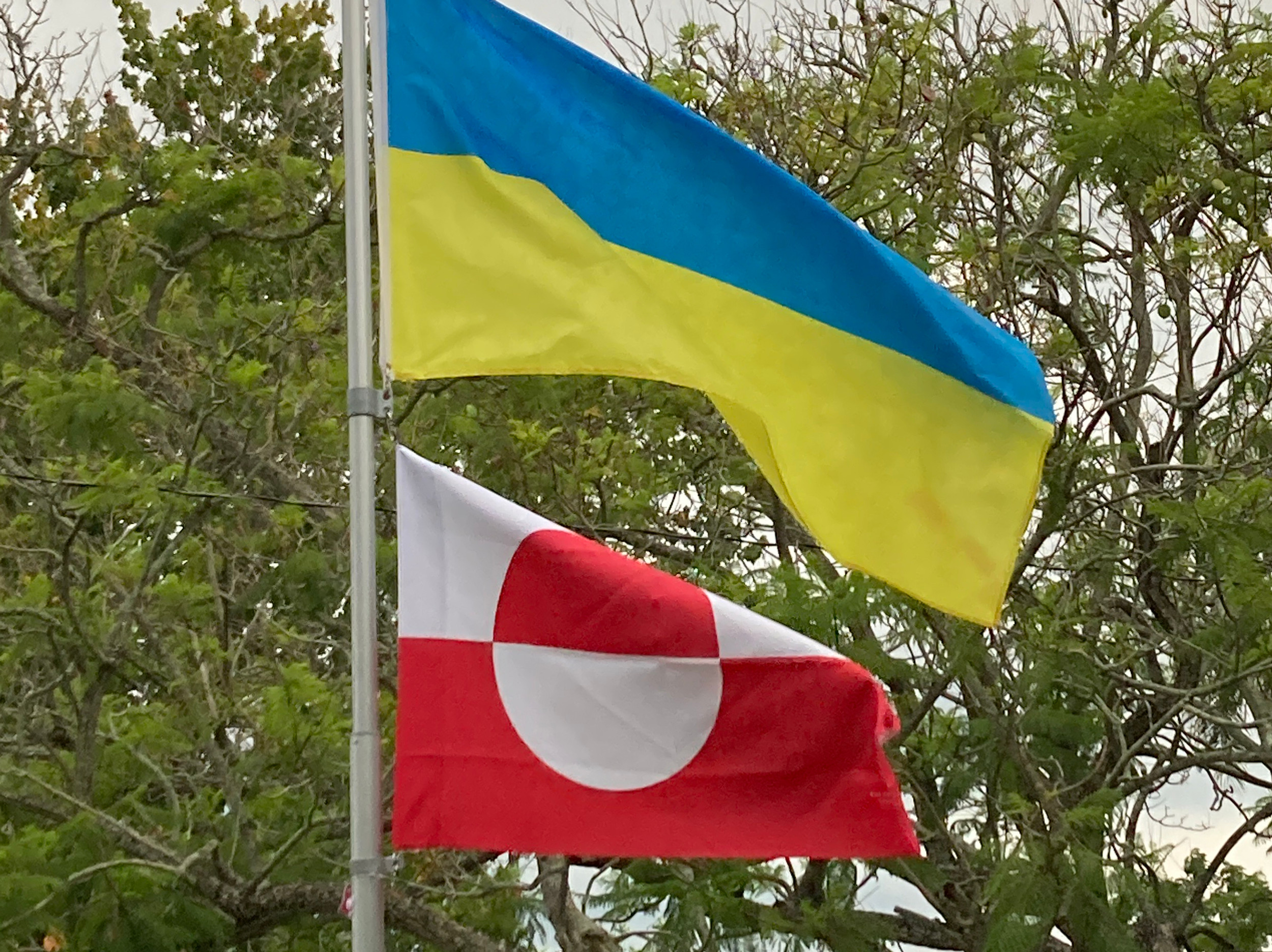 "Flag Act" | Burmese Tiger Trap