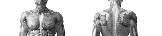 Kings Hill Physiotherapy Centre | Physiotherapy in Kings Hill