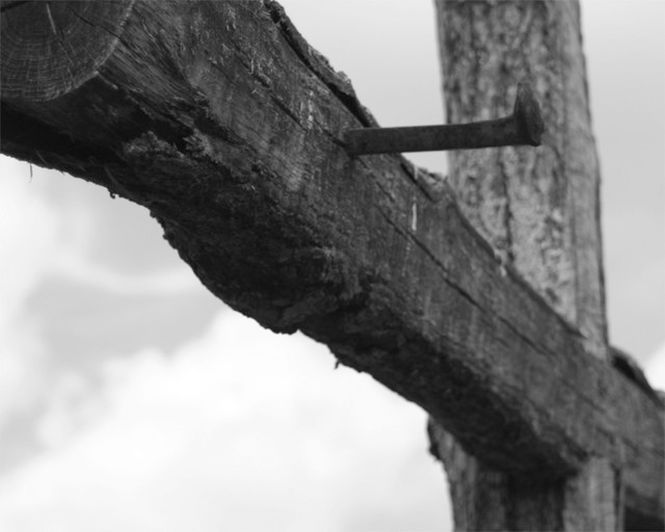 THE OLD RUGGED CROSS