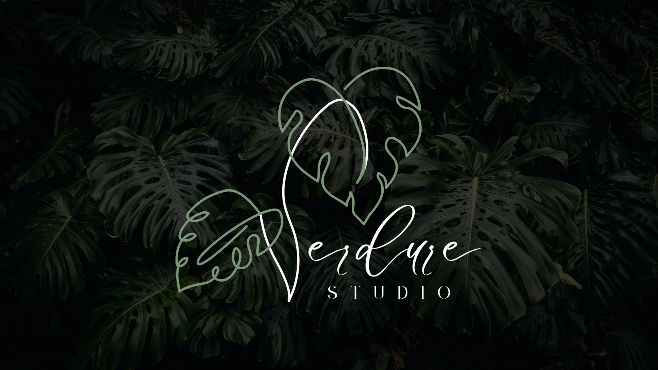 Luxury Plant Design, Plant Care & Workshops in Boston | Verdure Studio