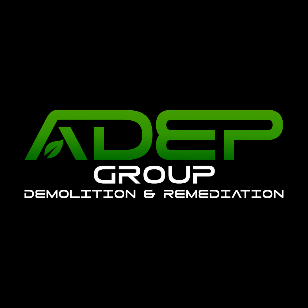 SERVICES | ADEP GROUP