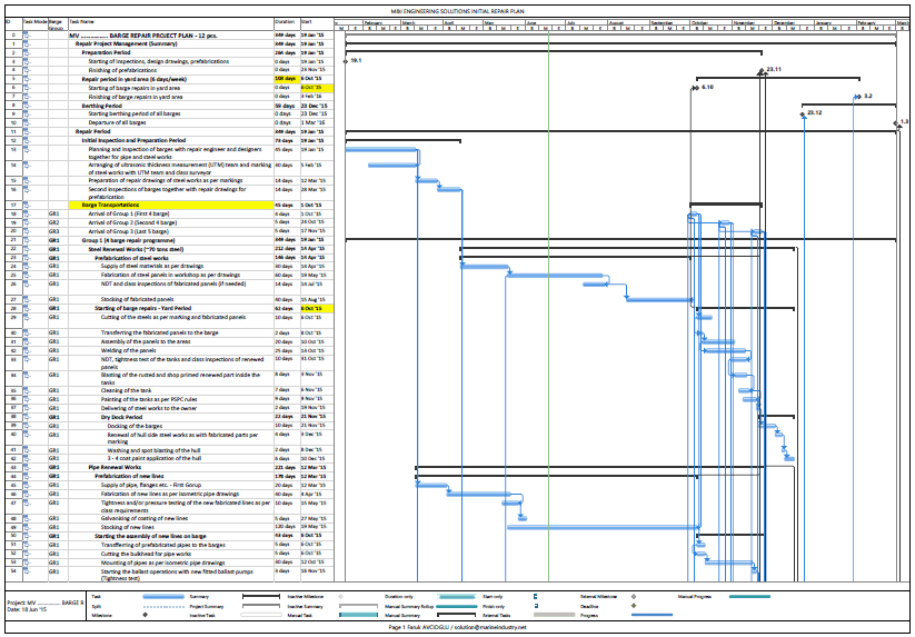 Project Planning in Turkey (Ship Repair, Conversion, New Building)