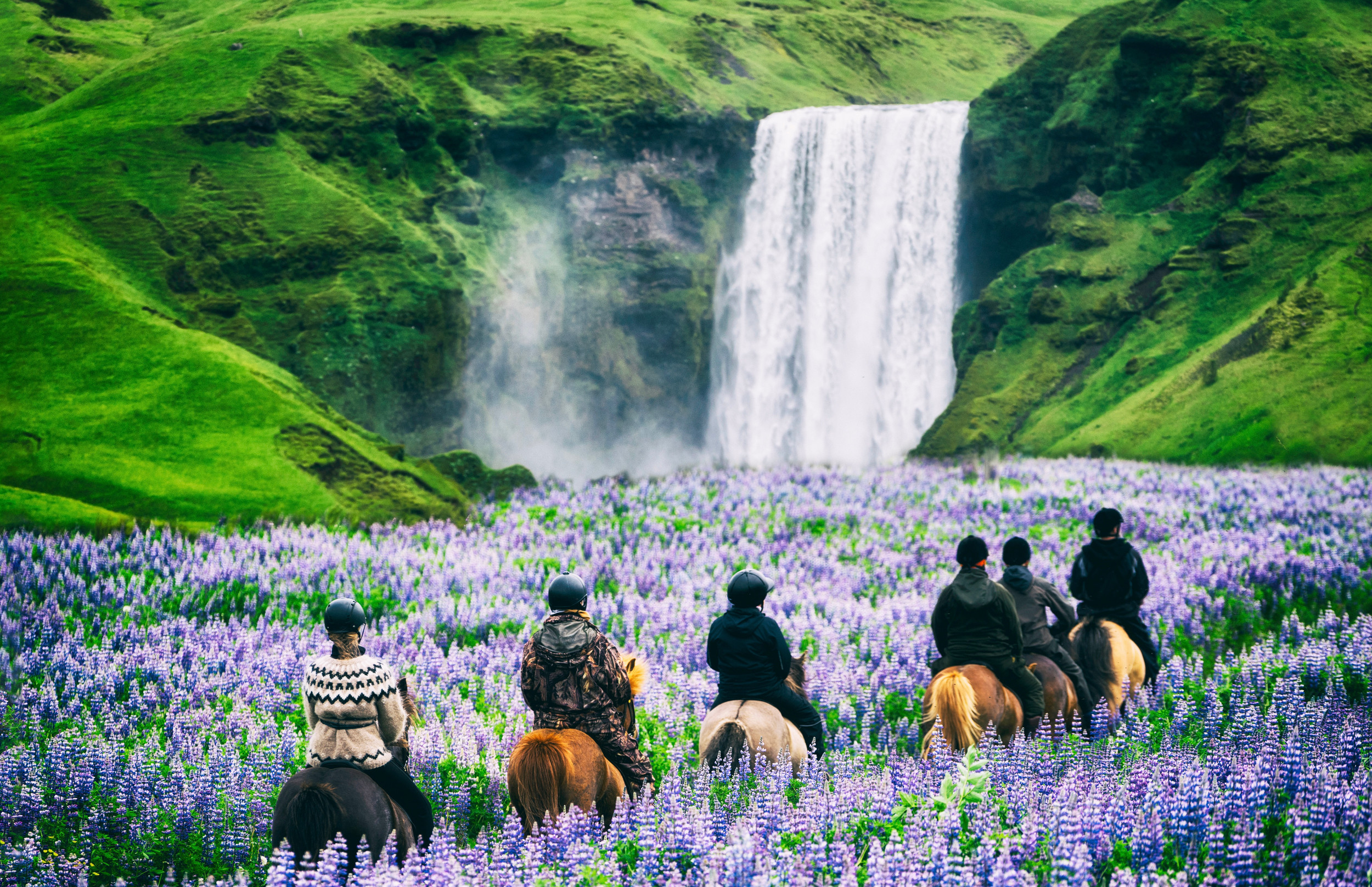 VIDEO GALLERY | Ingrid Phoenix