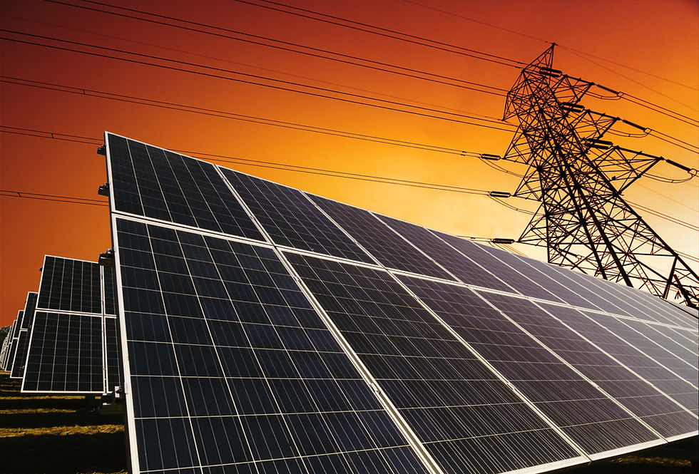 Bird Control | Syron Hawk