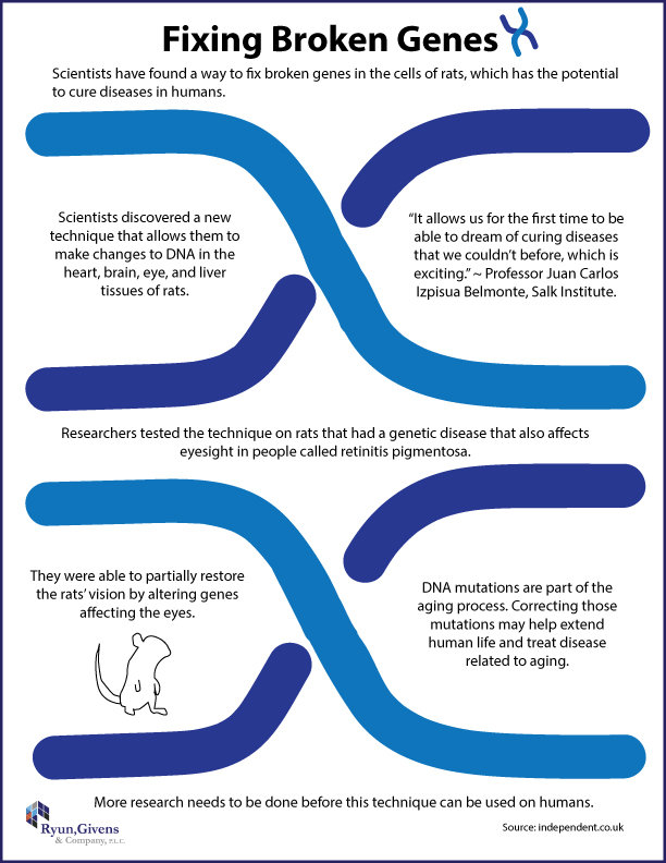 Future of Aging: Fixing Broken Genes