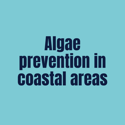 Algae Prevention | Sansox