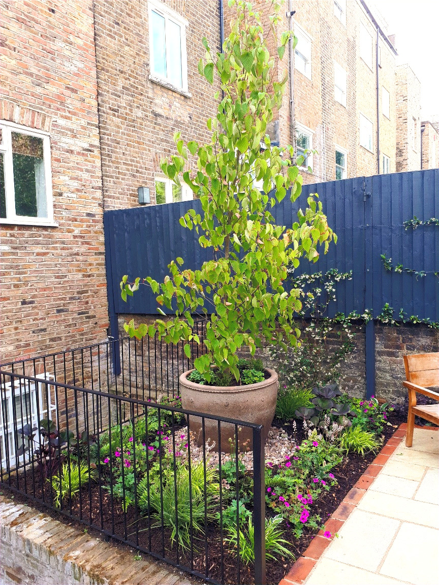 London Basement Courtyard Garden