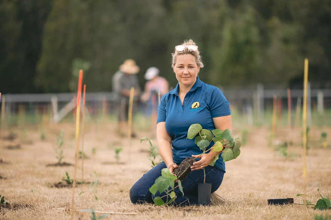 Creating A Living Legacy | Ballina Wave