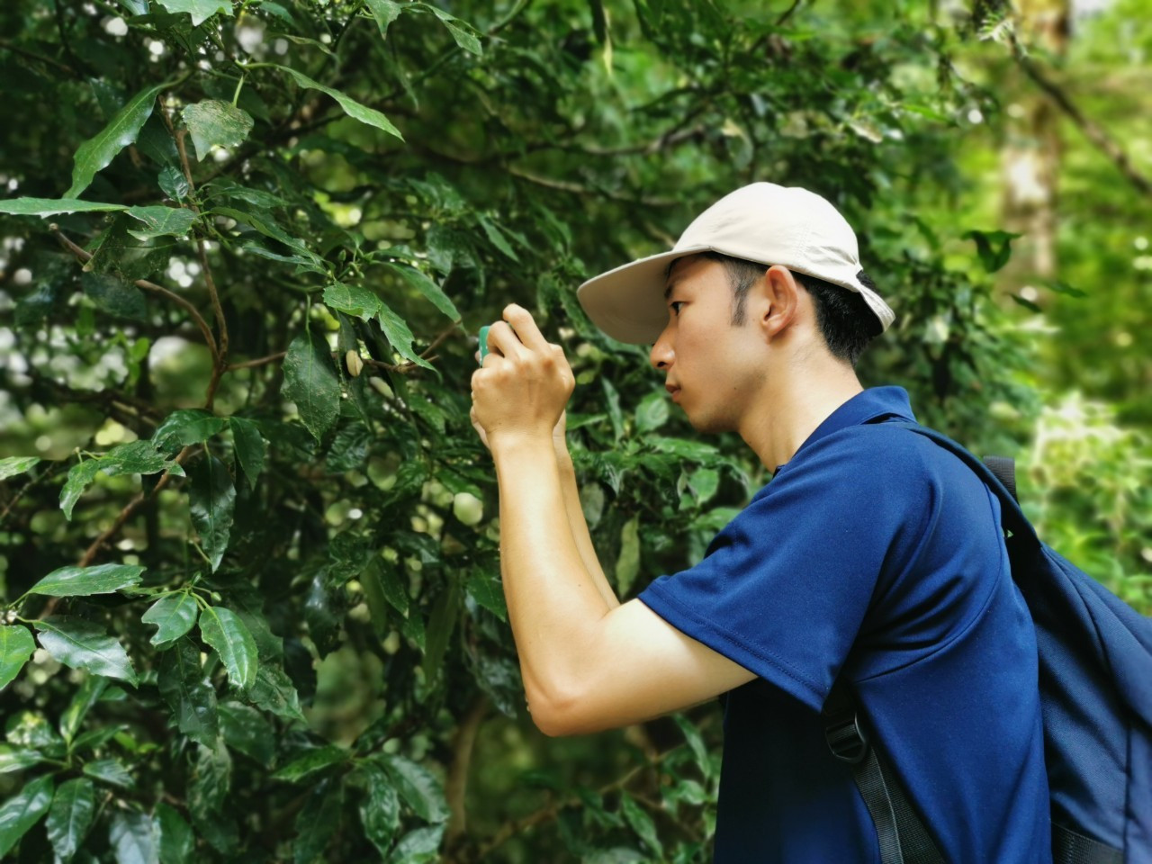 サービス一覧 | 自然観察アドバイザー