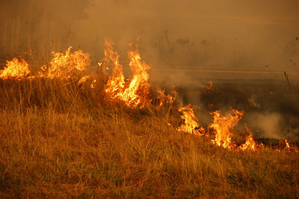 Development on Bush Fire Prone Land - NSW Planning Requirements