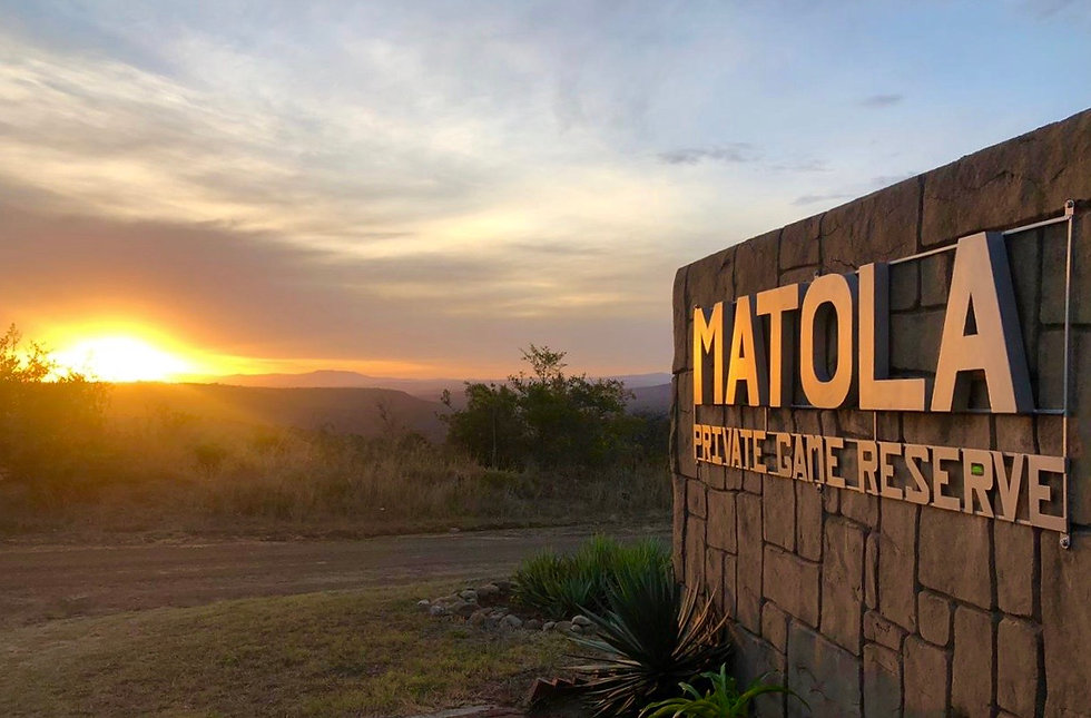 HOME | Matola Game Reserve & Lodge | Eastern Cape, South Africa