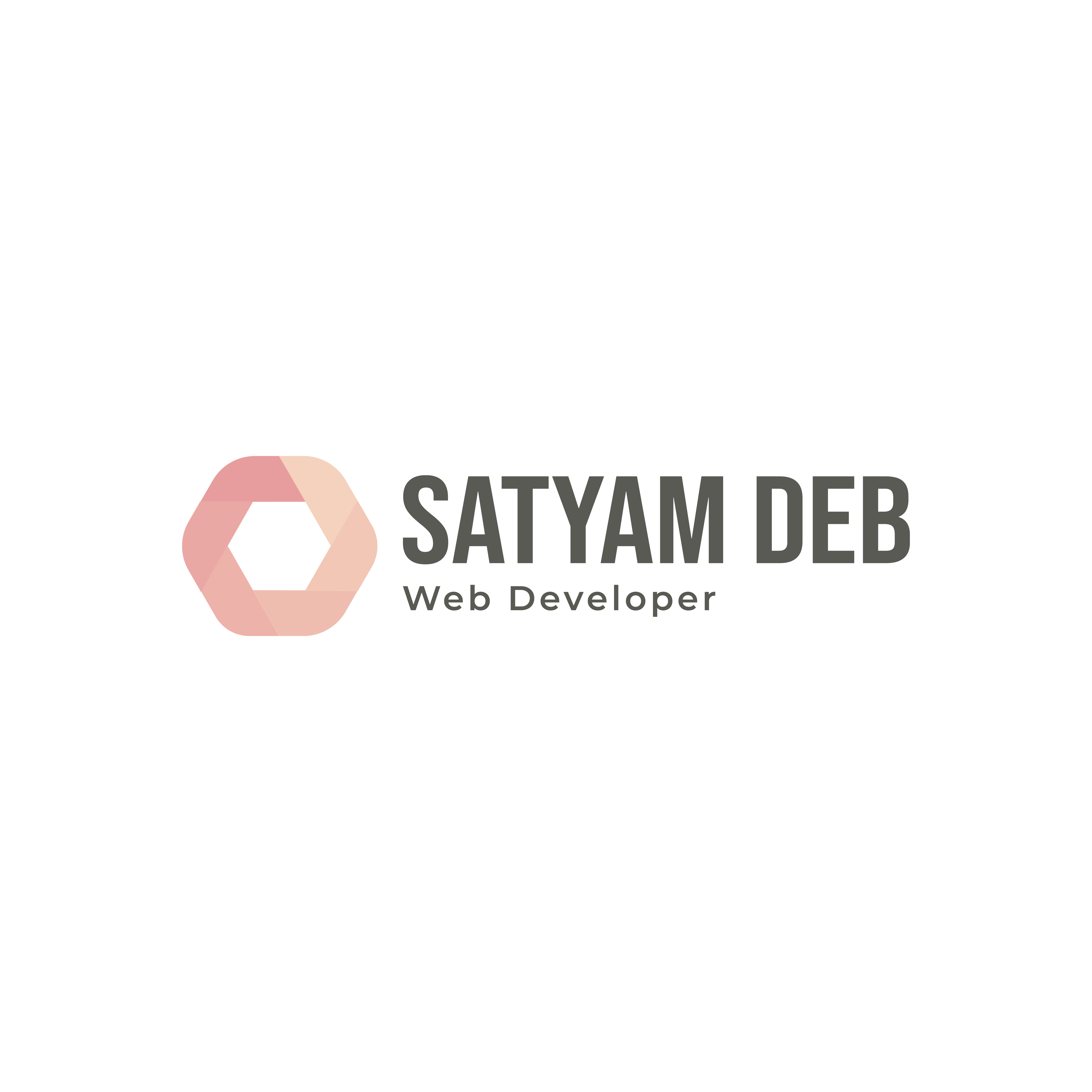 Satyam Logo