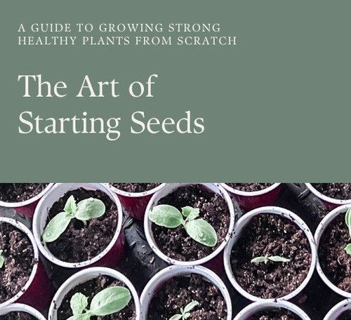 The Art of Starting Seeds | Madara Farms