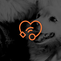 LaRoo-safetyforpets | Pet Products