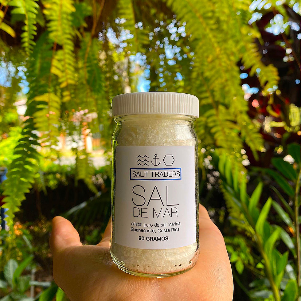 Sea salt | Salt Traders