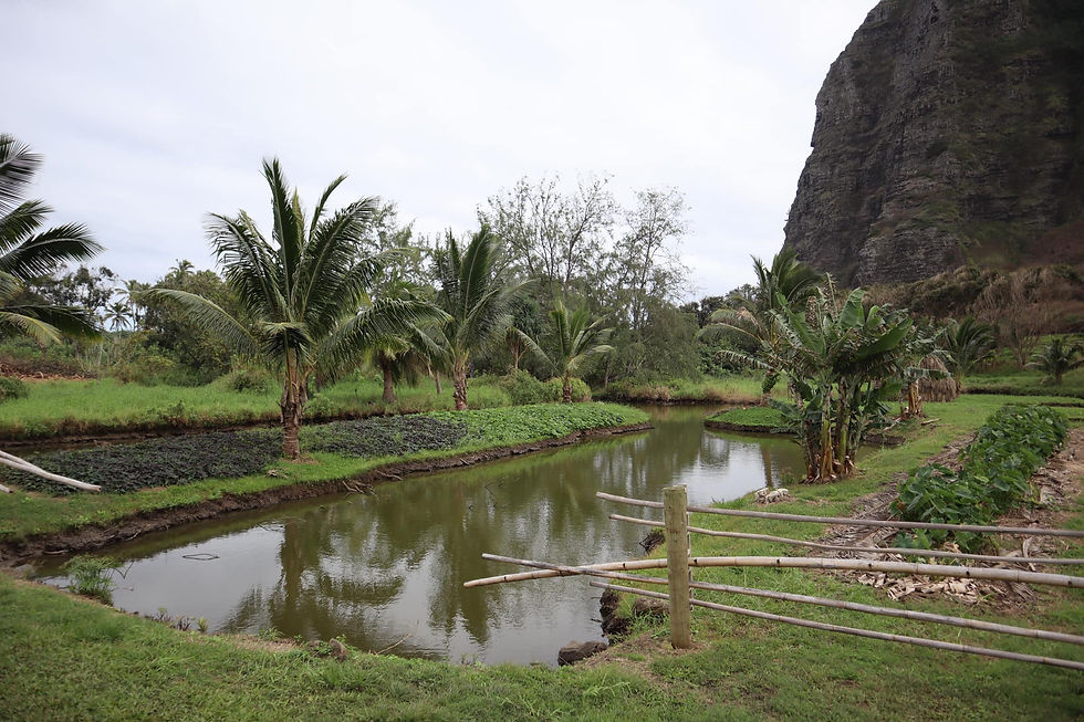 Uncovering the Magic of Kualoa Ranch: Oahu's Hidden Gem