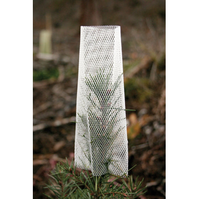 Breathe Easy Bud Cap (bundle of 100/price per bundle) | Pacforest Supply Co