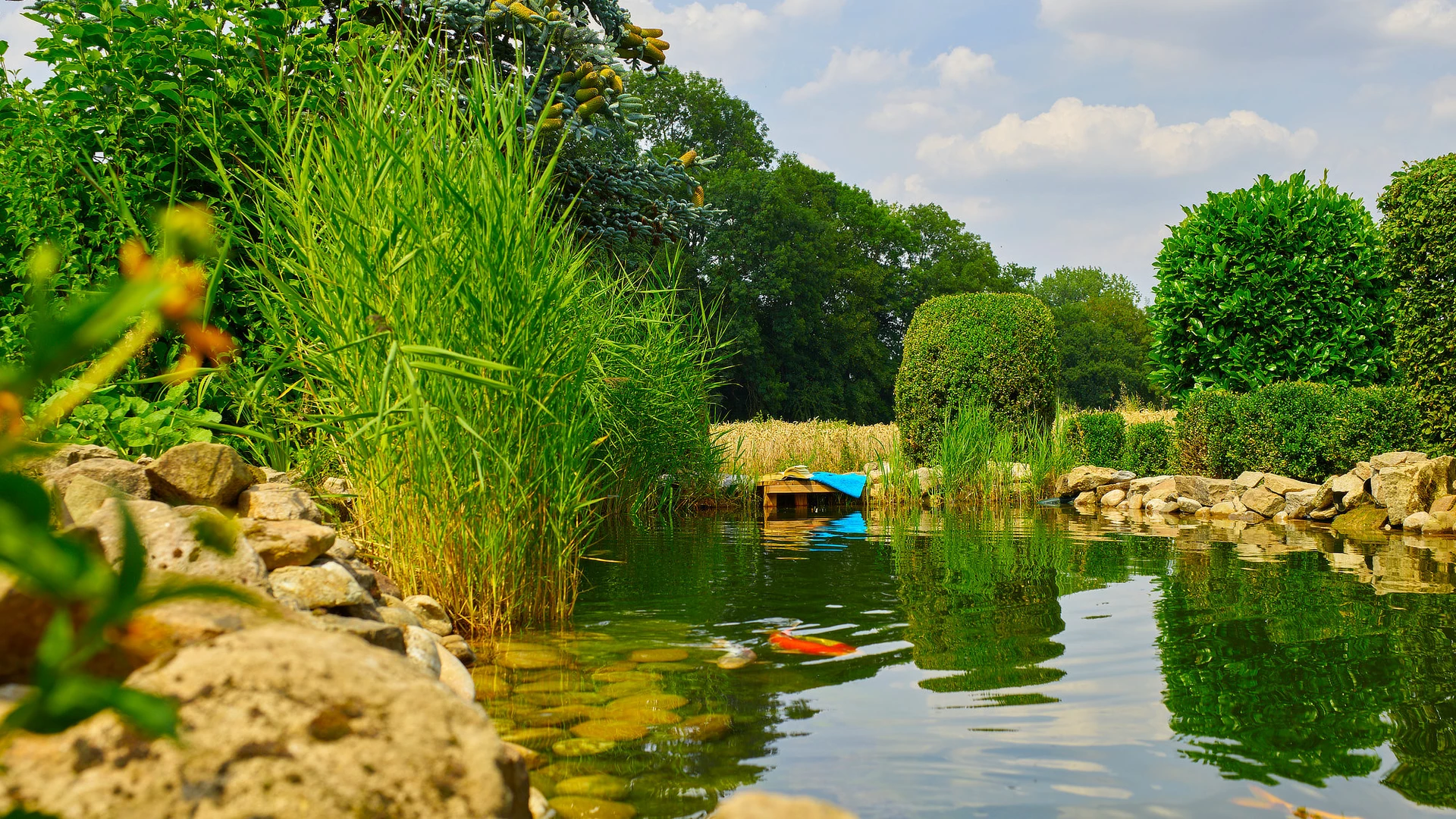 Oase Living Water | Aquatech Corporation