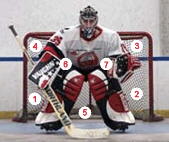 Crosby beats the defenders and scores five hole : r/hockey