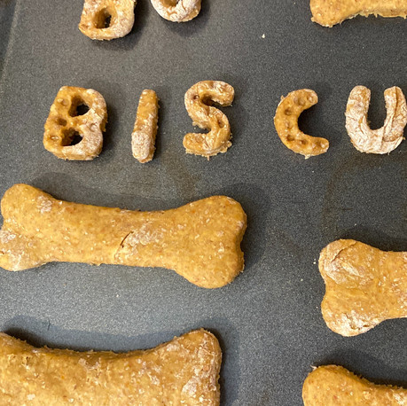 GIVING BACK | Bo Biscuits Treats