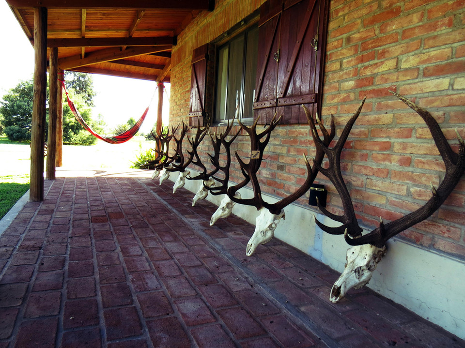 Pampas Ranch | The best Red Stag hunting by Argentina Heritage Outdoors
