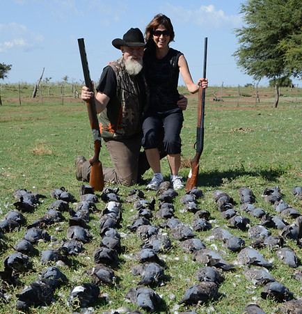 WINGSHOOTING | Poitahue Ranch