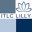 Lilly Conference-San Diego | Teaching for Active and Engaged Learning