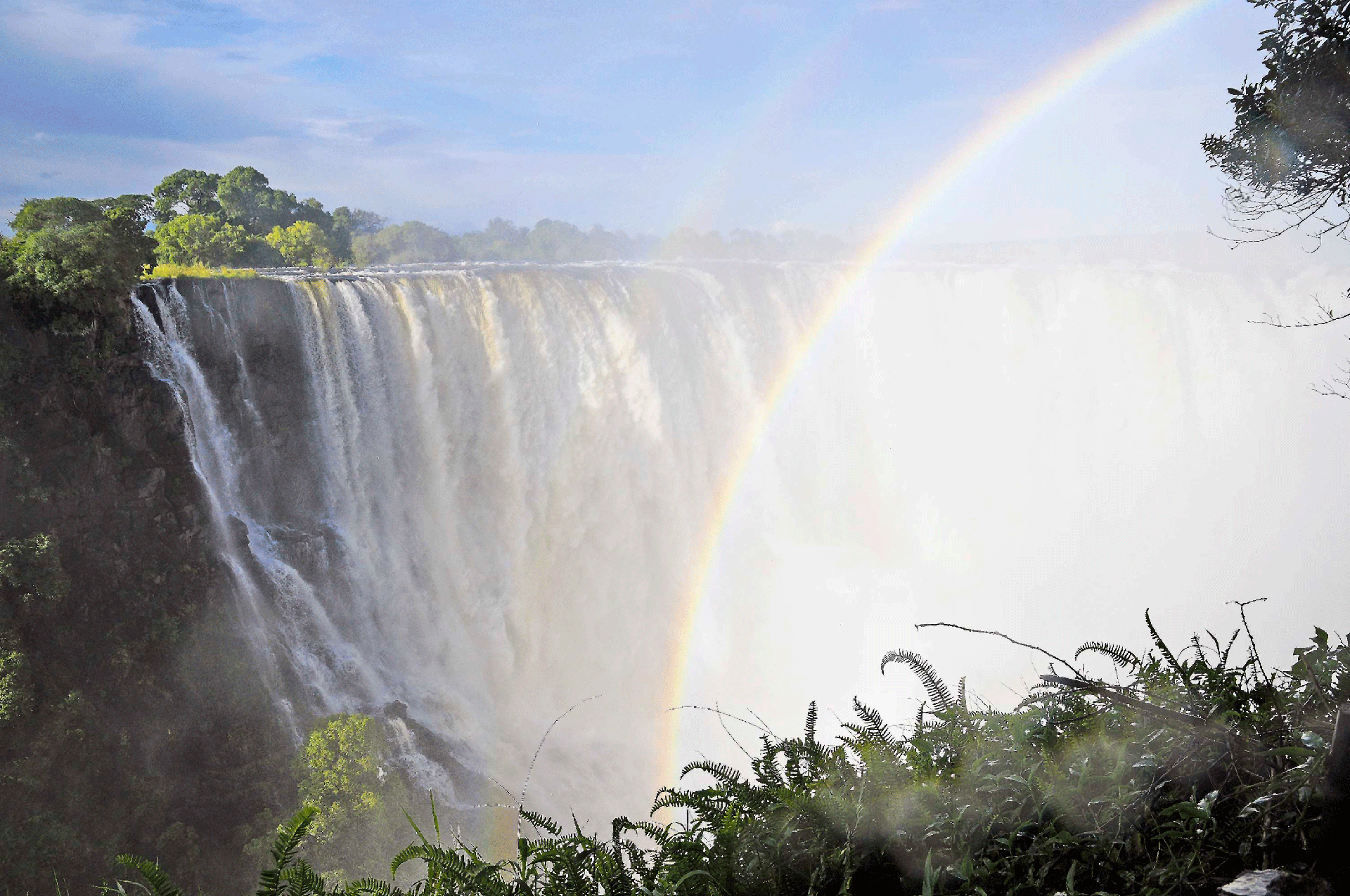 Vangarten Health | telemedicine