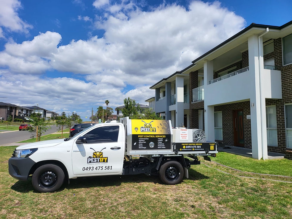 Pestify | pest control services | Sydney NSW, Australia