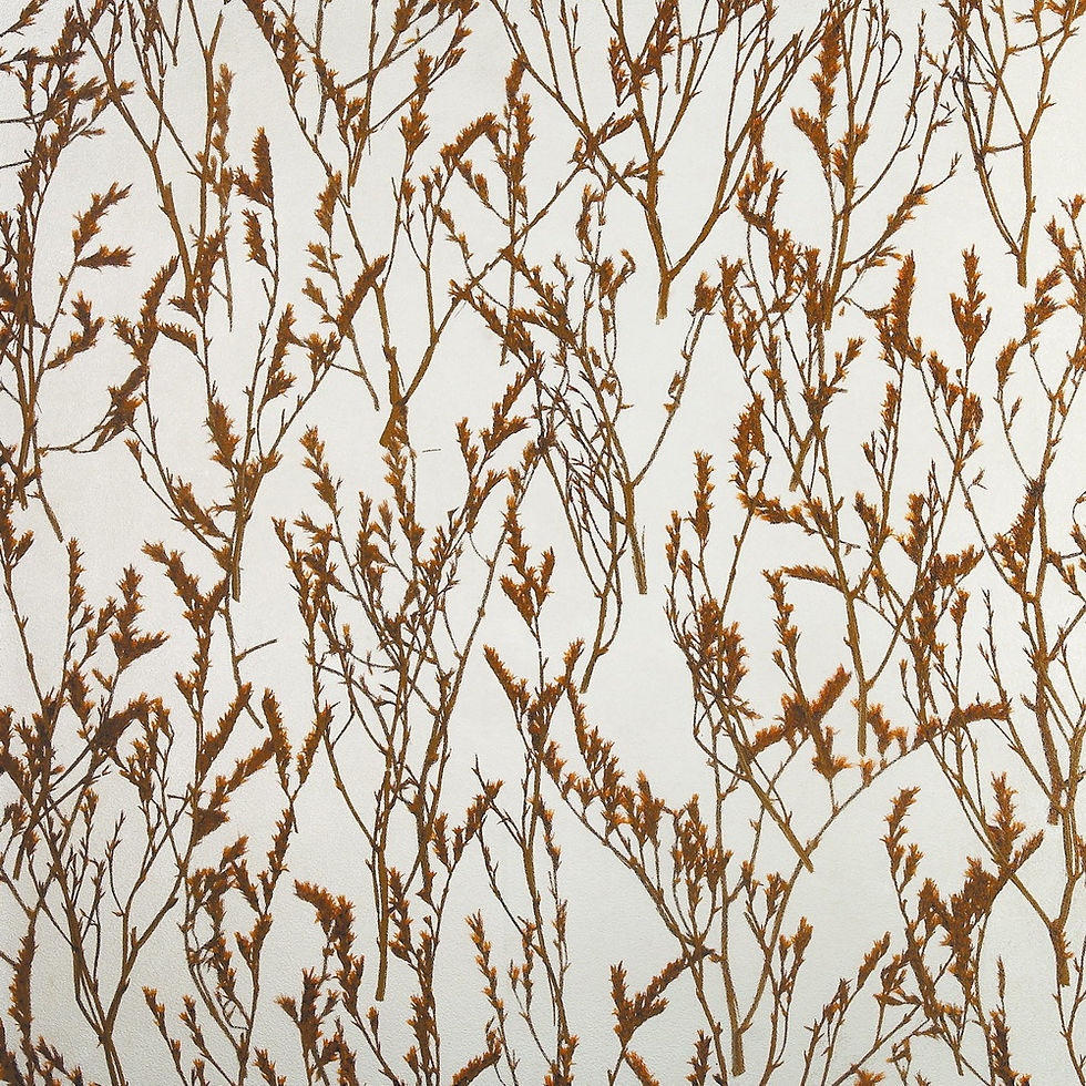 Translucent Panels | Decotone Surfaces