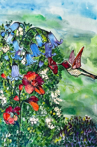Hummingbird | Nancy Harrell Art