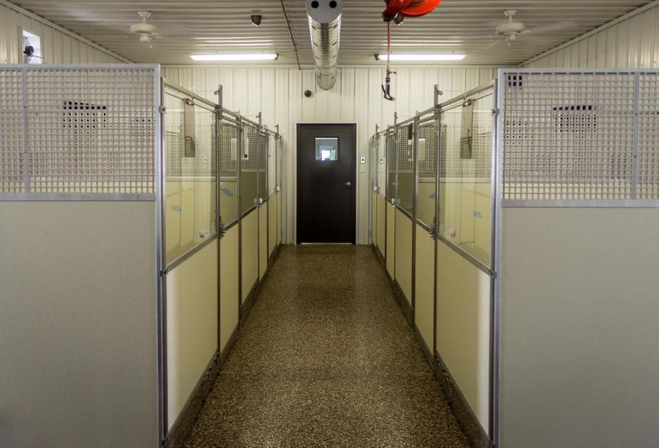 Photo Gallery | canine-kennels
