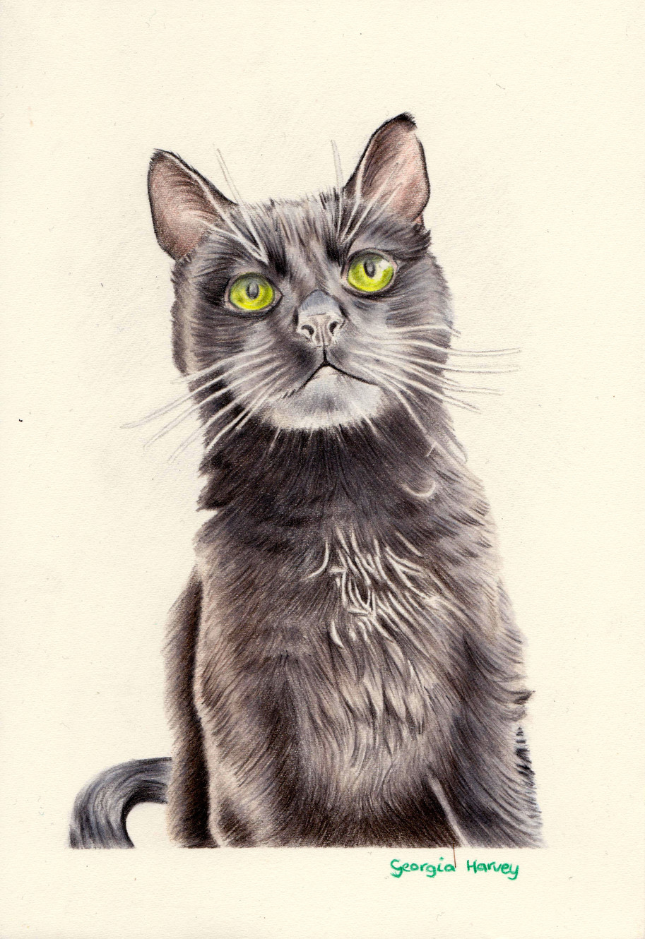 COMMISSION INFO | Georgia Harvey Art