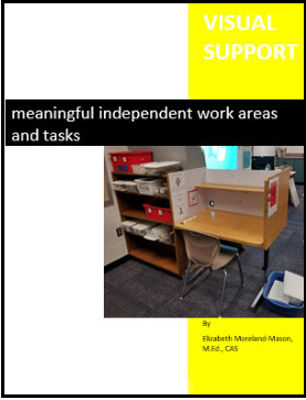 Visual Support for Meaningful Independent Work Areas and Tasks | Mysite