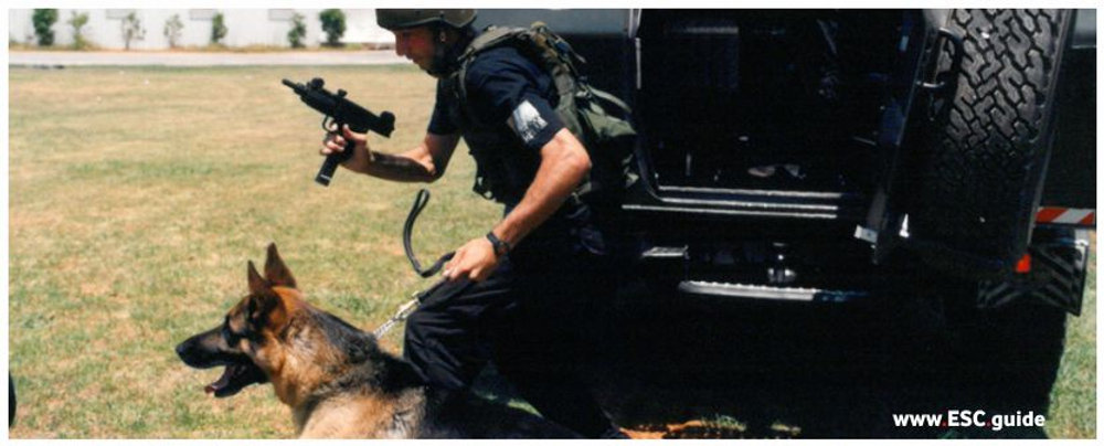 SILVER SHADOW / Gilboa® 9x19