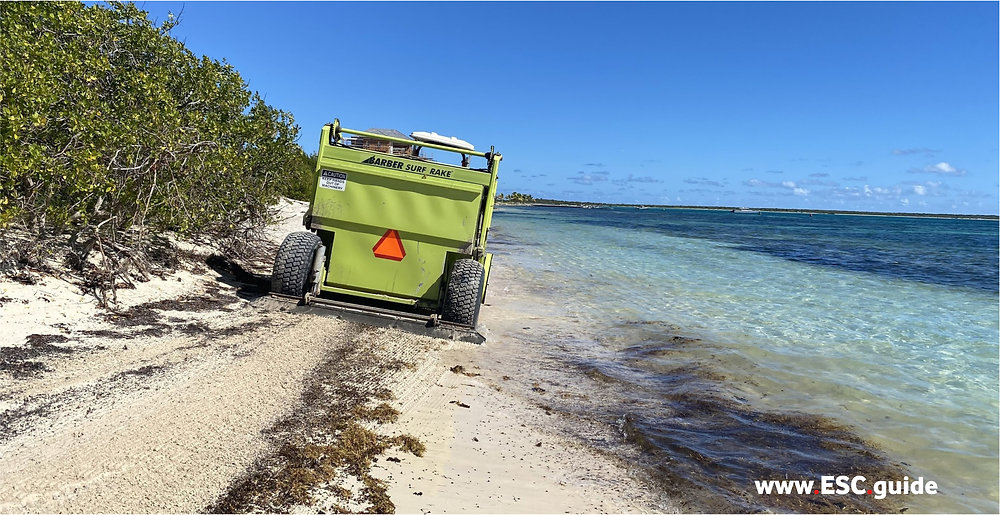 22/09/16: SURF RAKE's Cross Paths on Florida Beach