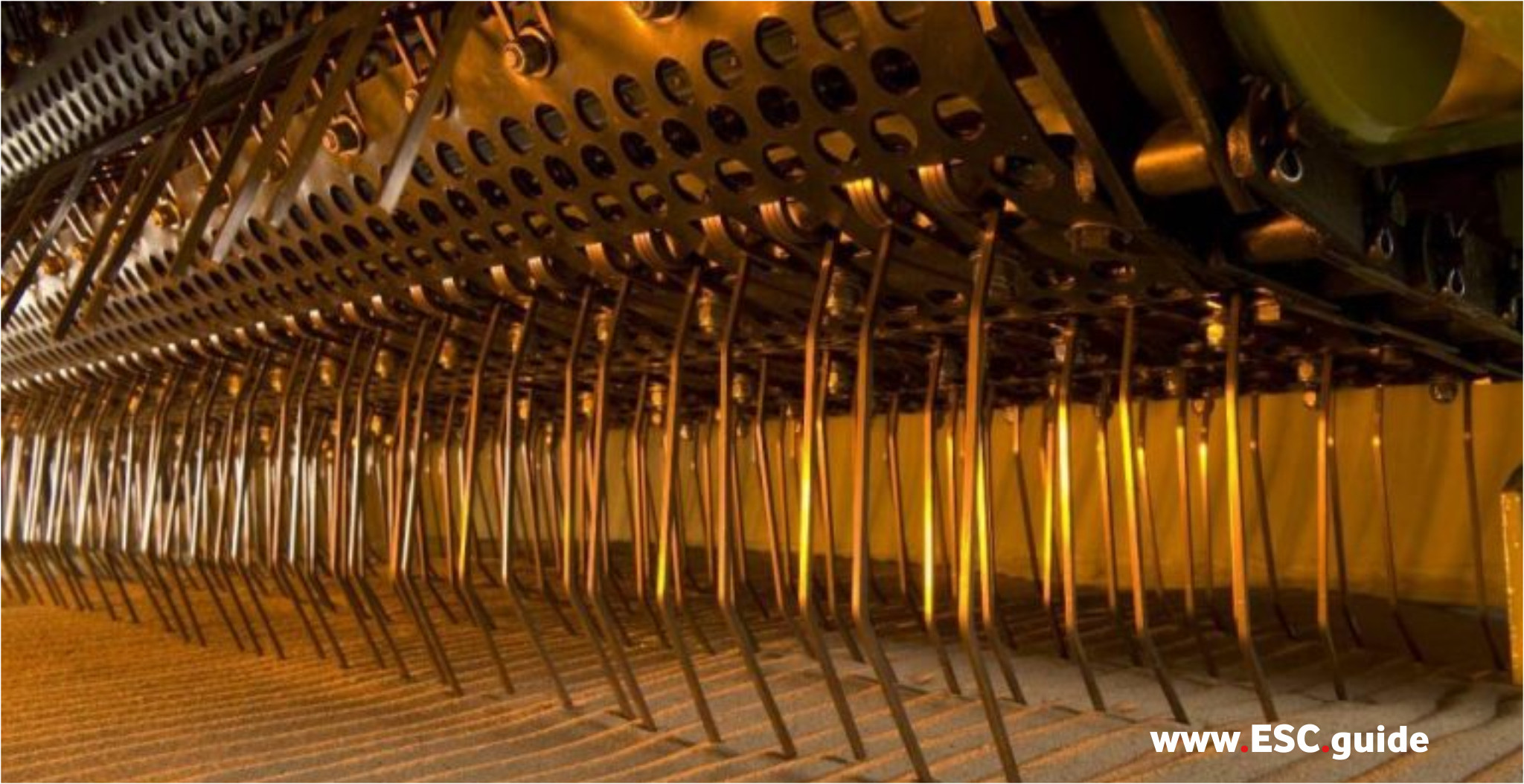 26/07/11: SURF RAKE Beach Cleaner S-Belt: Learn About It