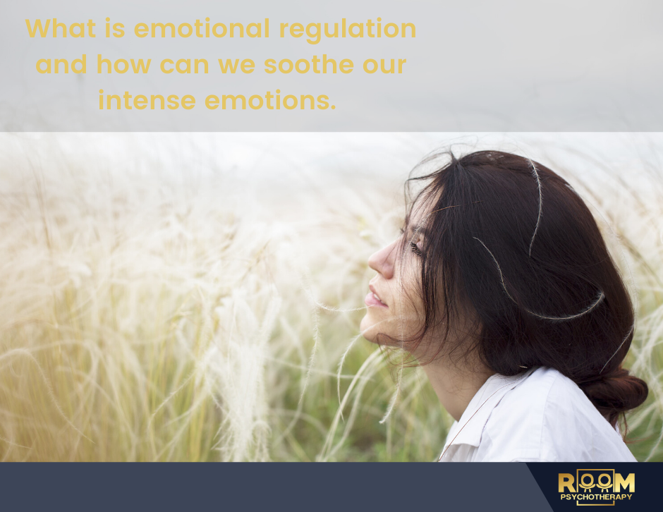 What is emotional regulation and how can we soothe our intense emotions.