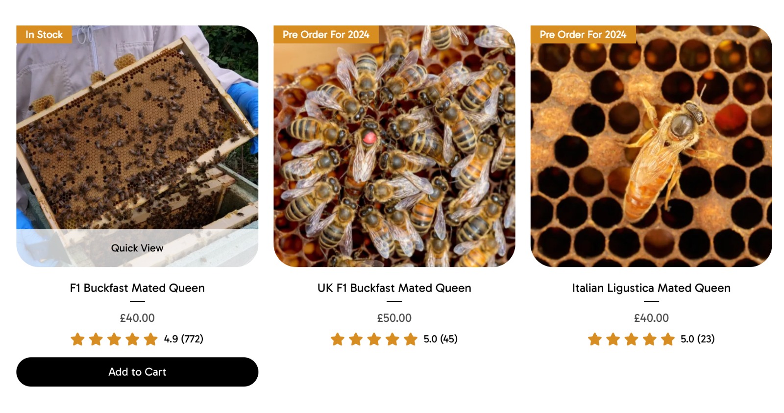 Wix Store Product Reviews. From Ratings to Revenue | Vision Marketing | WIX