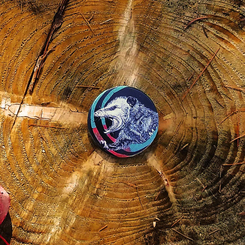 "HISS" Art Button | Jessica Williams