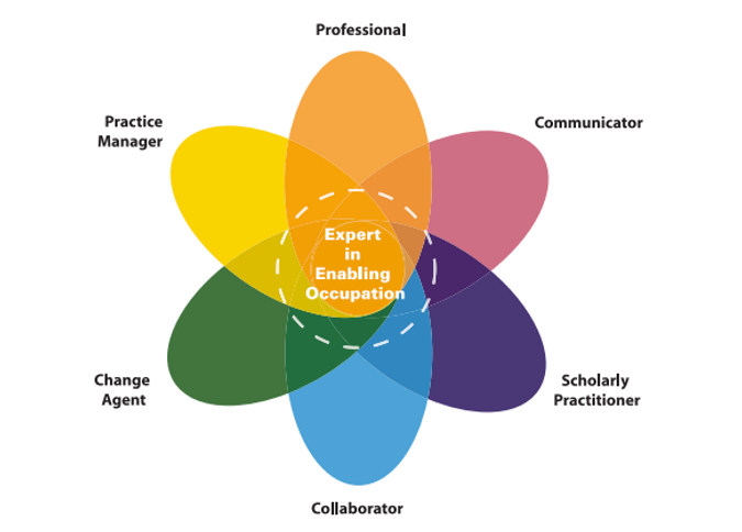 OT Profile Overview | portfolio