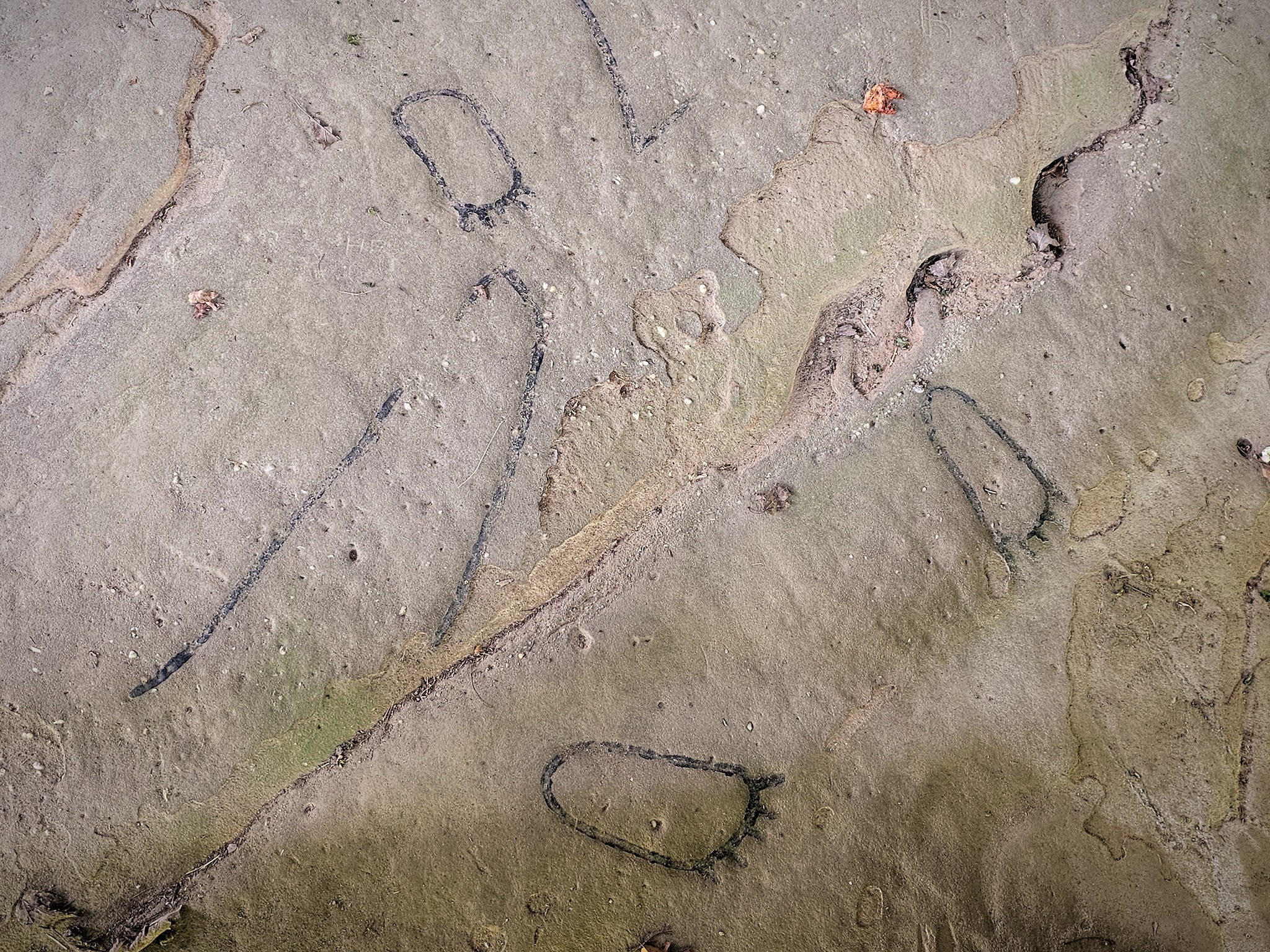 Exploring the Leo Petroglyphs & Nature Preserve